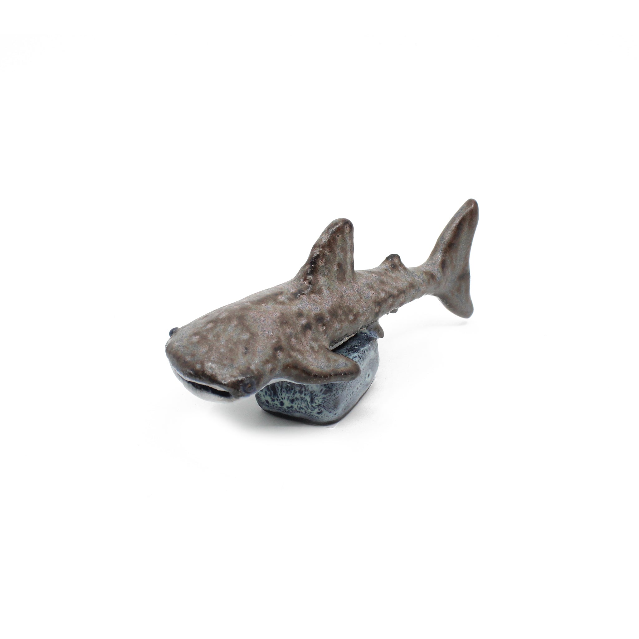 Ceramic Whale Shark | by Lava Ceramics – Auckland Museum Online Store