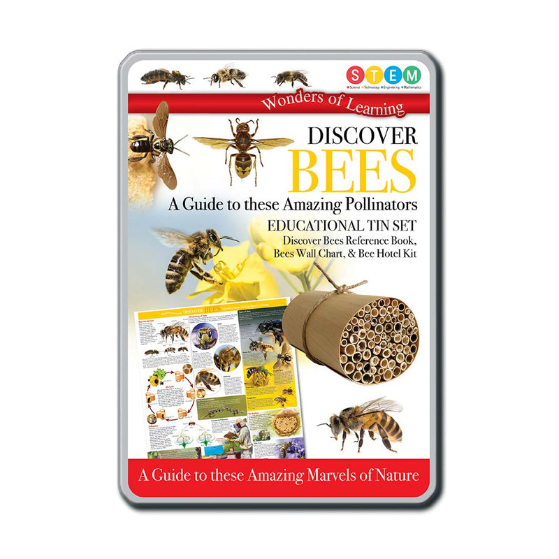 Discover Bees Tin Set – Auckland Museum Online Store