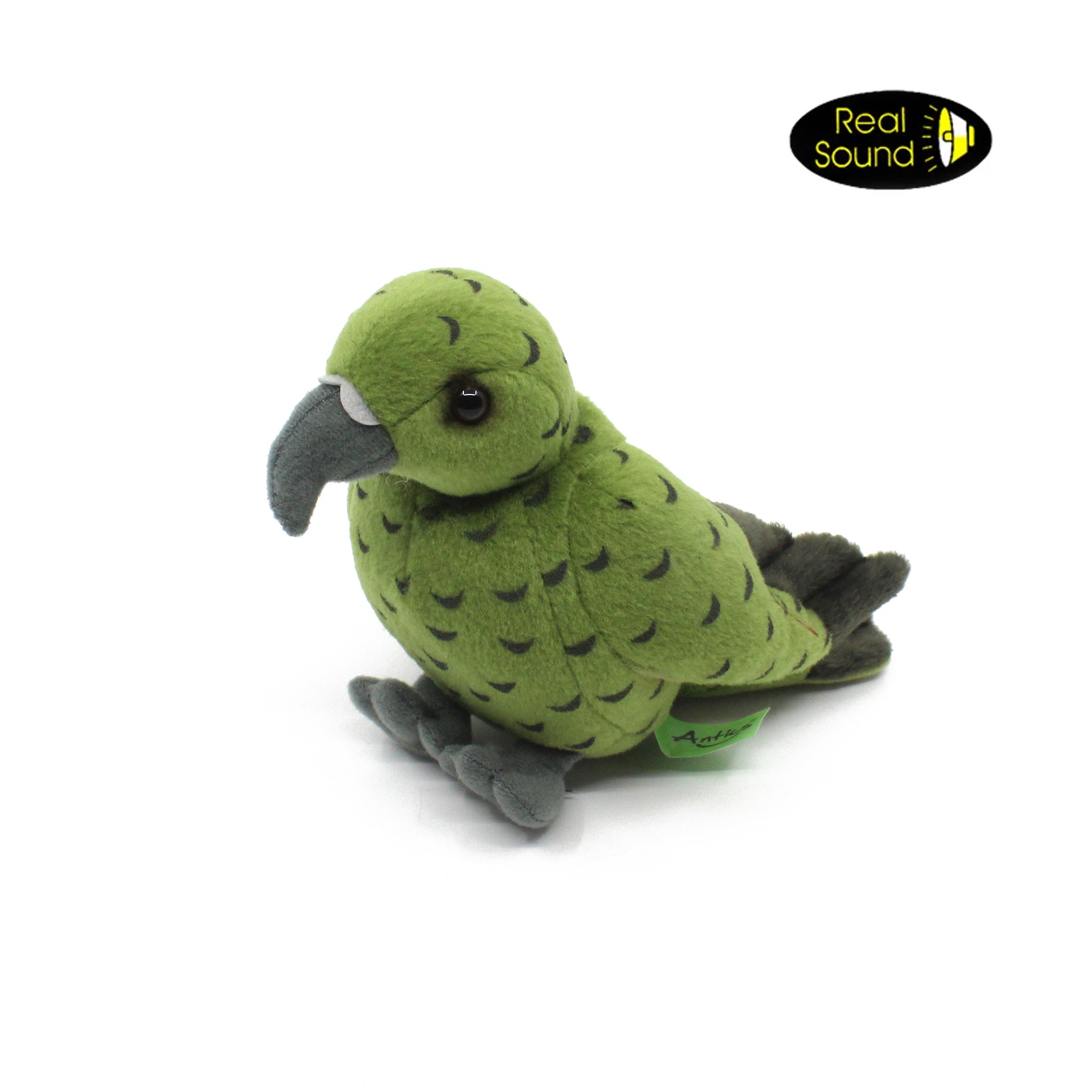 Kea Soft Toy with Sound – Auckland Museum Online Store