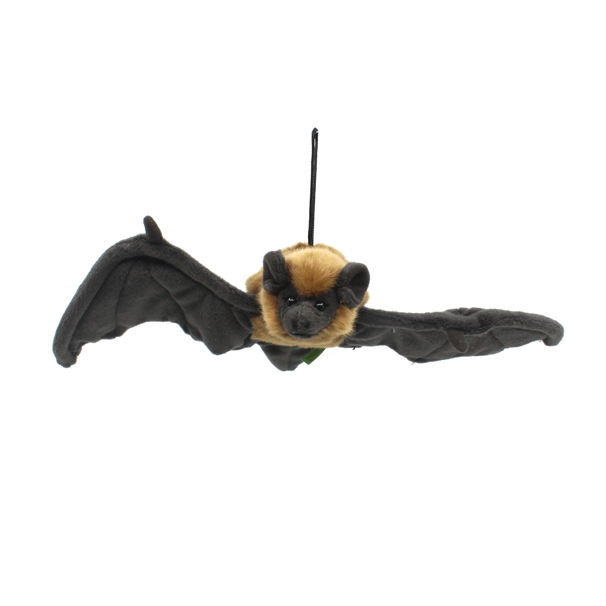 Long-tailed bat Soft Toy – Auckland Museum Online Store