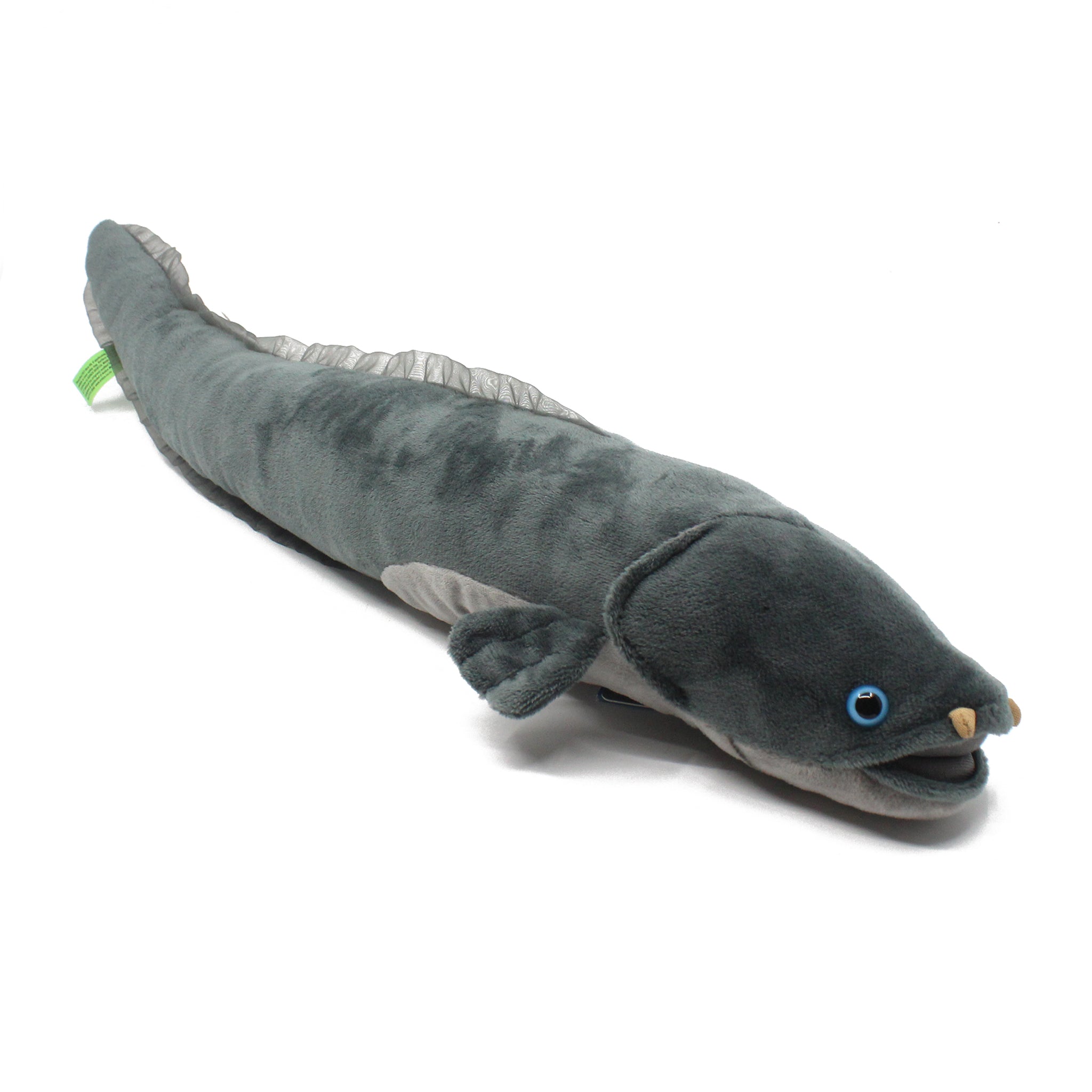 New Zealand Longfin Eel Soft Toy – Auckland Museum Online Store
