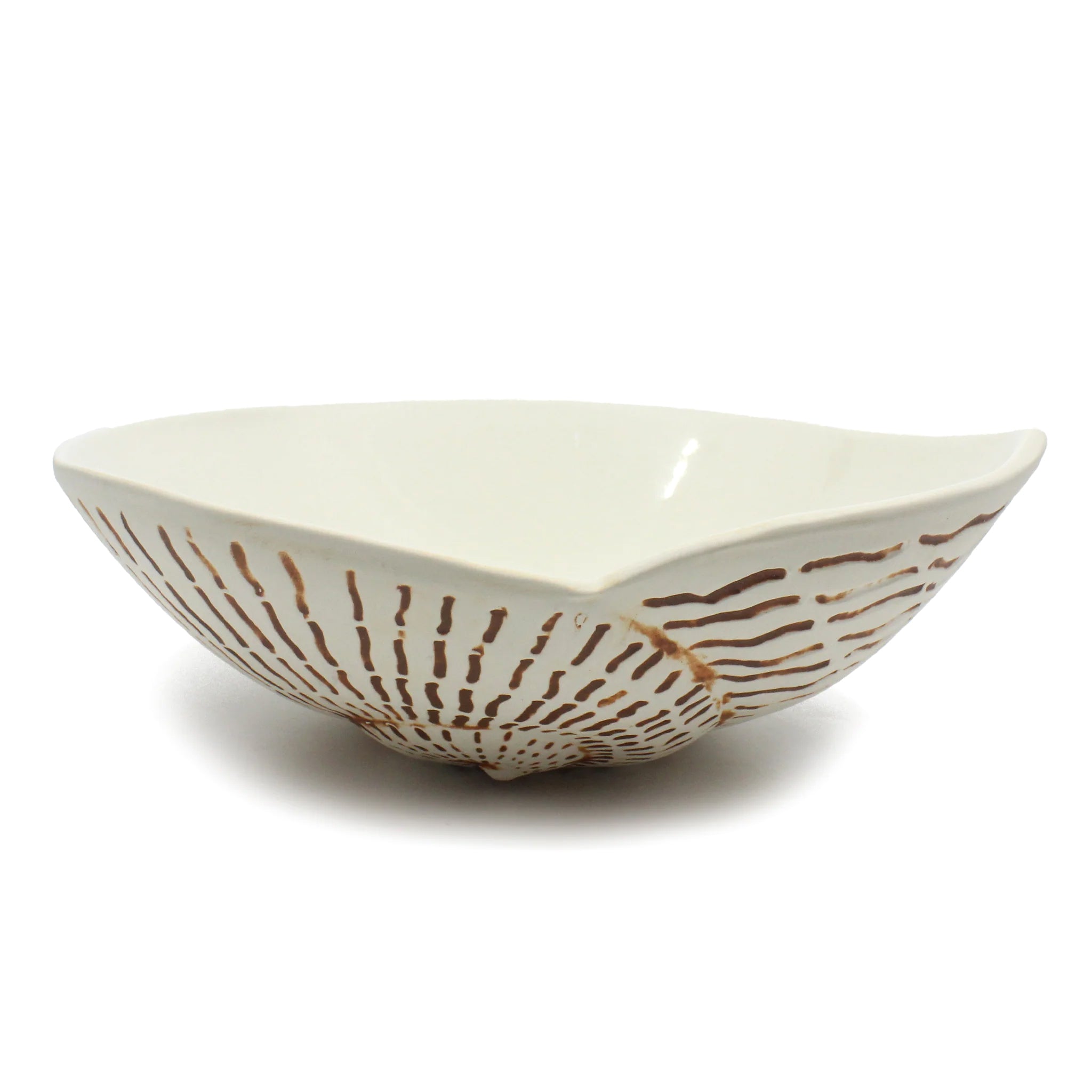 Nautilus Shell Bowl - White | by McGlashen Pottery – Auckland Museum ...