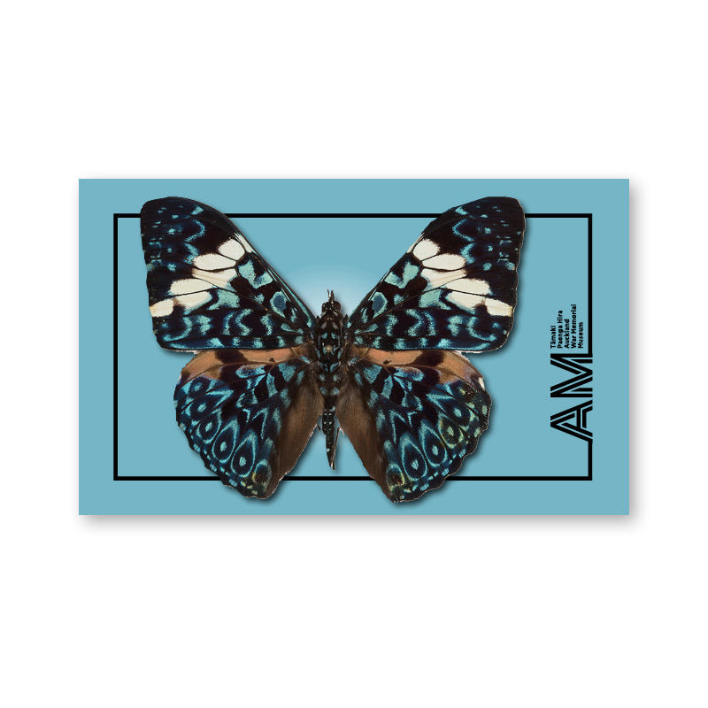 Museum Store Online Gift Voucher – Auckland Museum Online Store