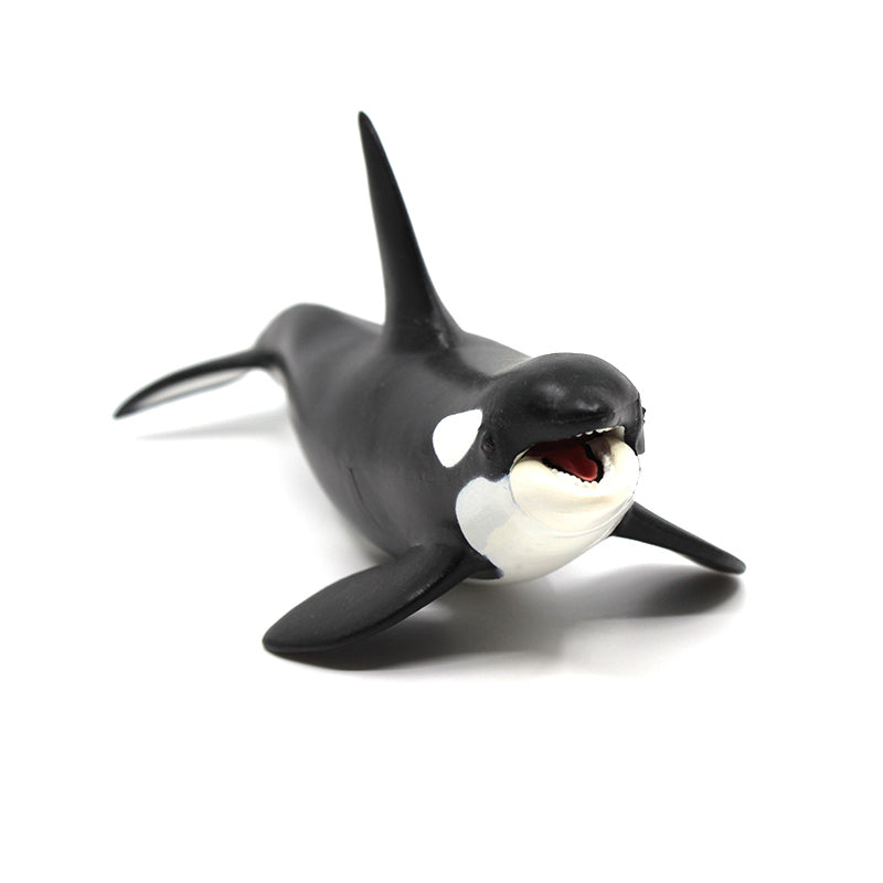 Orca – Auckland Museum Online Store