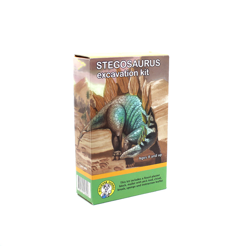 Stegosaurus Excavation Kit – Auckland Museum Online Store